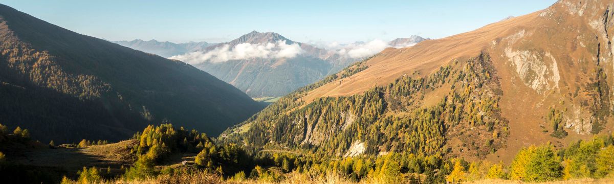 ZANIER Gloves, hochwertige Handschuhe für Outdoor-, Alpin- & Bergsport ...