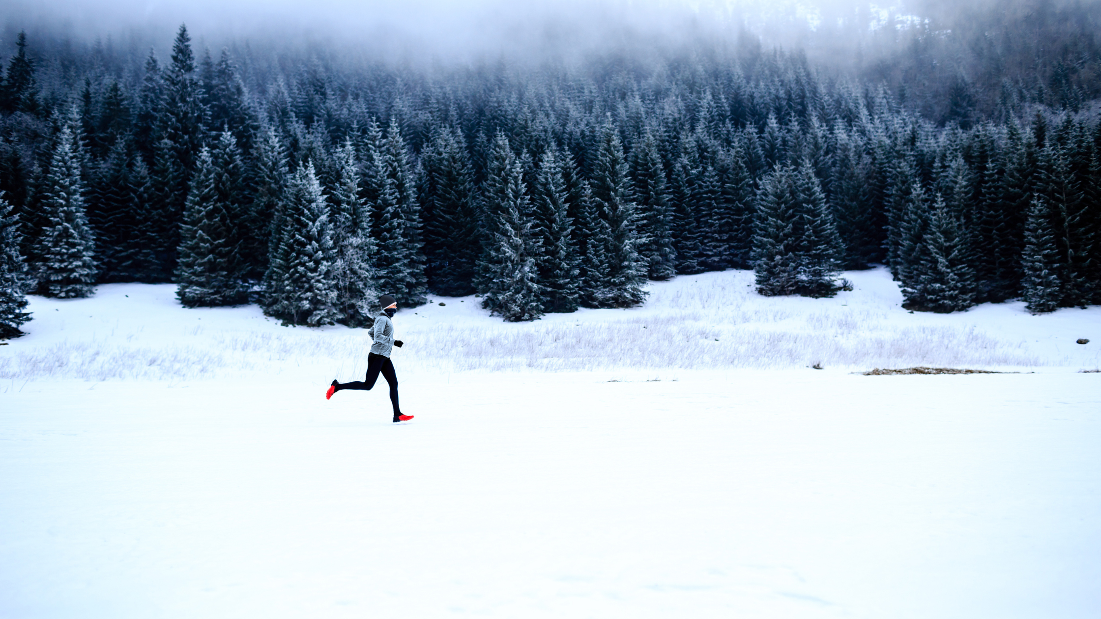 ZANIER Gloves, high-quality gloves for outdoor, alpine & mountain ...